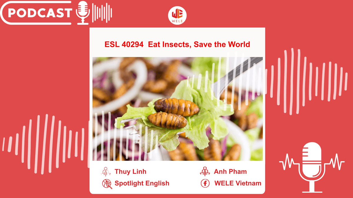 Eat Insects, Save the World - ESL 40294