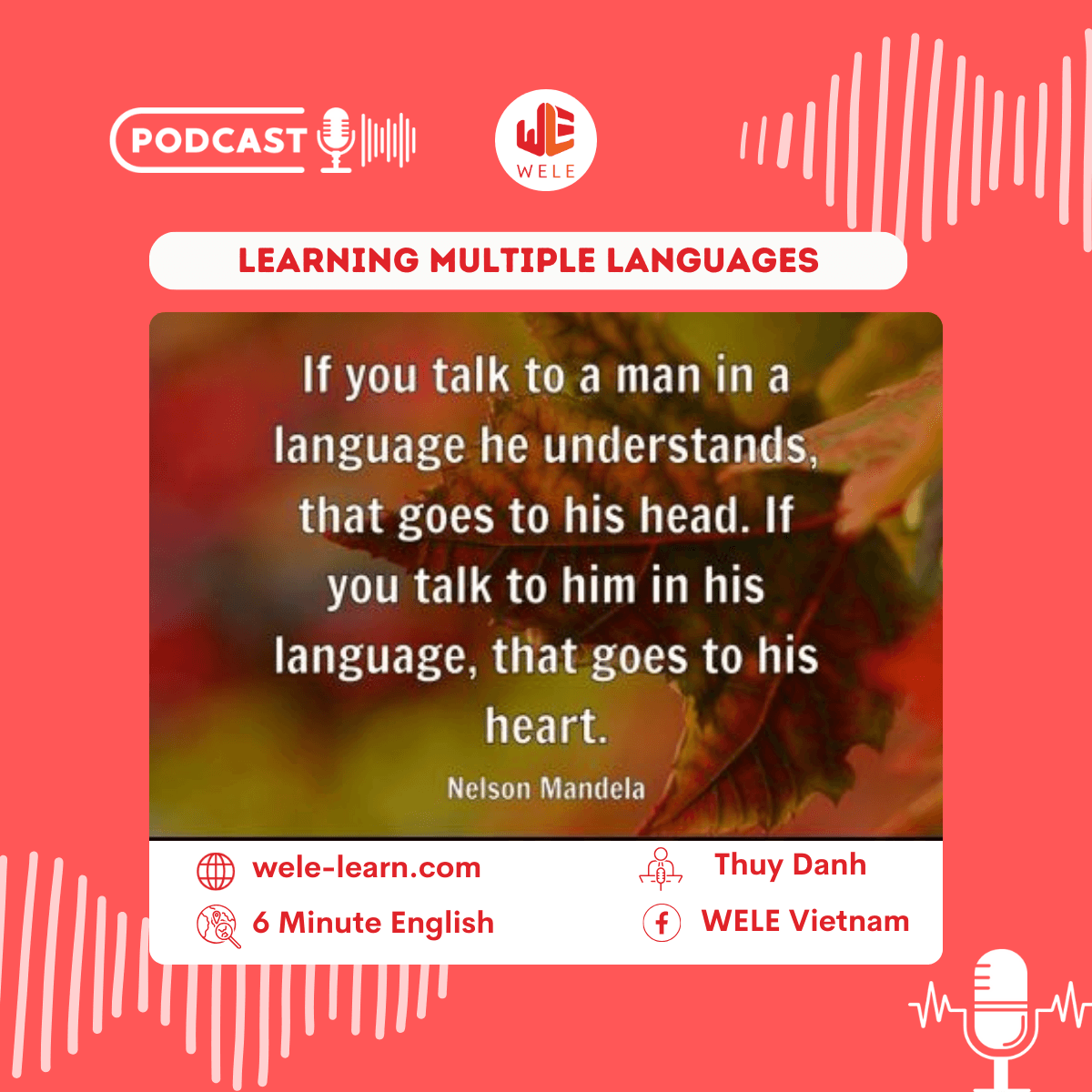 LEARNING MULTIPLE LANGUAGES - ESL 11002447 | WELE