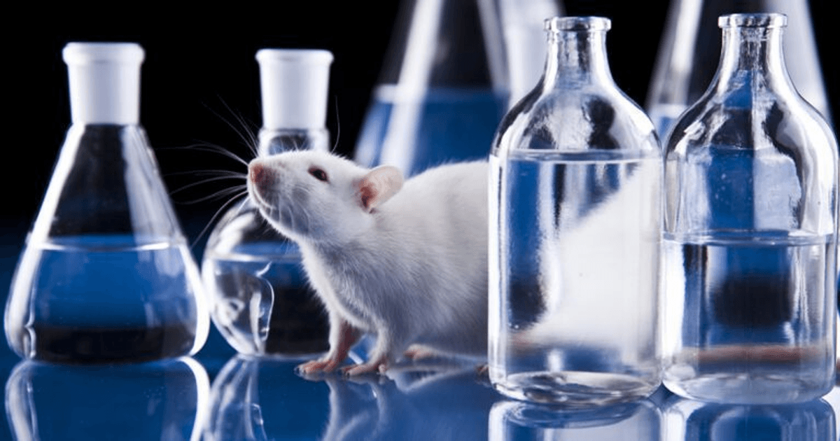 AI to reduce animal testing - ESL 50130